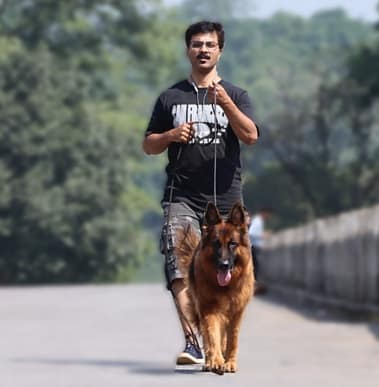 PawsLove German Shepherd Dog Breeder : Show GSD Breeder, India